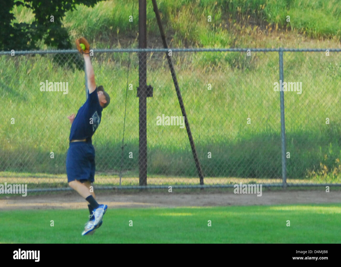 Fly guard hi-res stock photography and images - Alamy