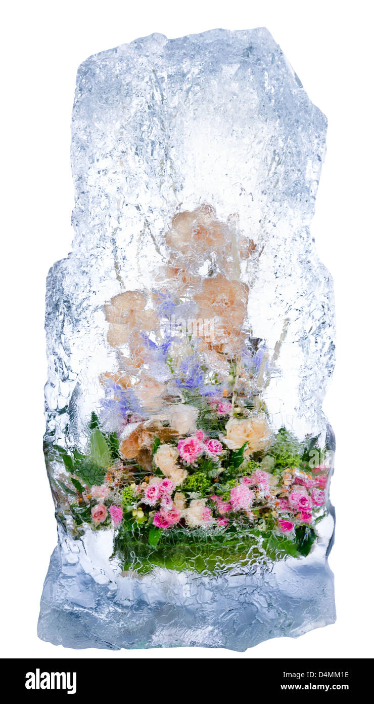 Collage . fresh flowers, frozen in a block of ice Stock Photo - Alamy