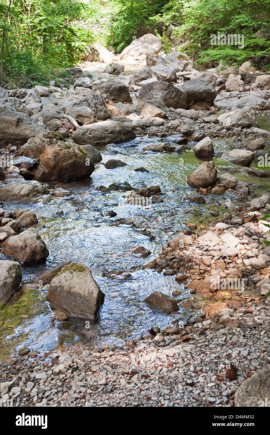 mountain brook in the shade of old trees Stock Photo - Alamy