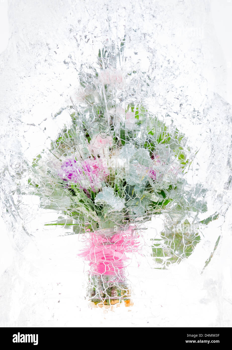 fresh flowers, frozen in a block of ice Stock Photo - Alamy