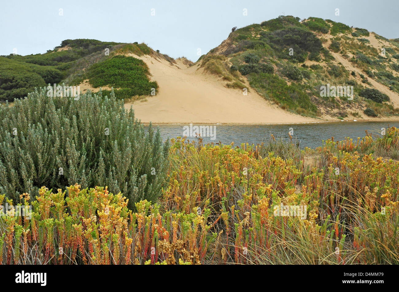 Powlett river hi-res stock photography and images - Alamy