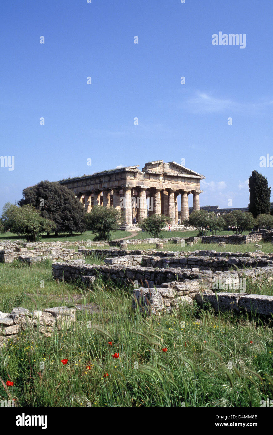 Temple of Neptune, Paestrum, Campania, Italy Stock Photo - Alamy