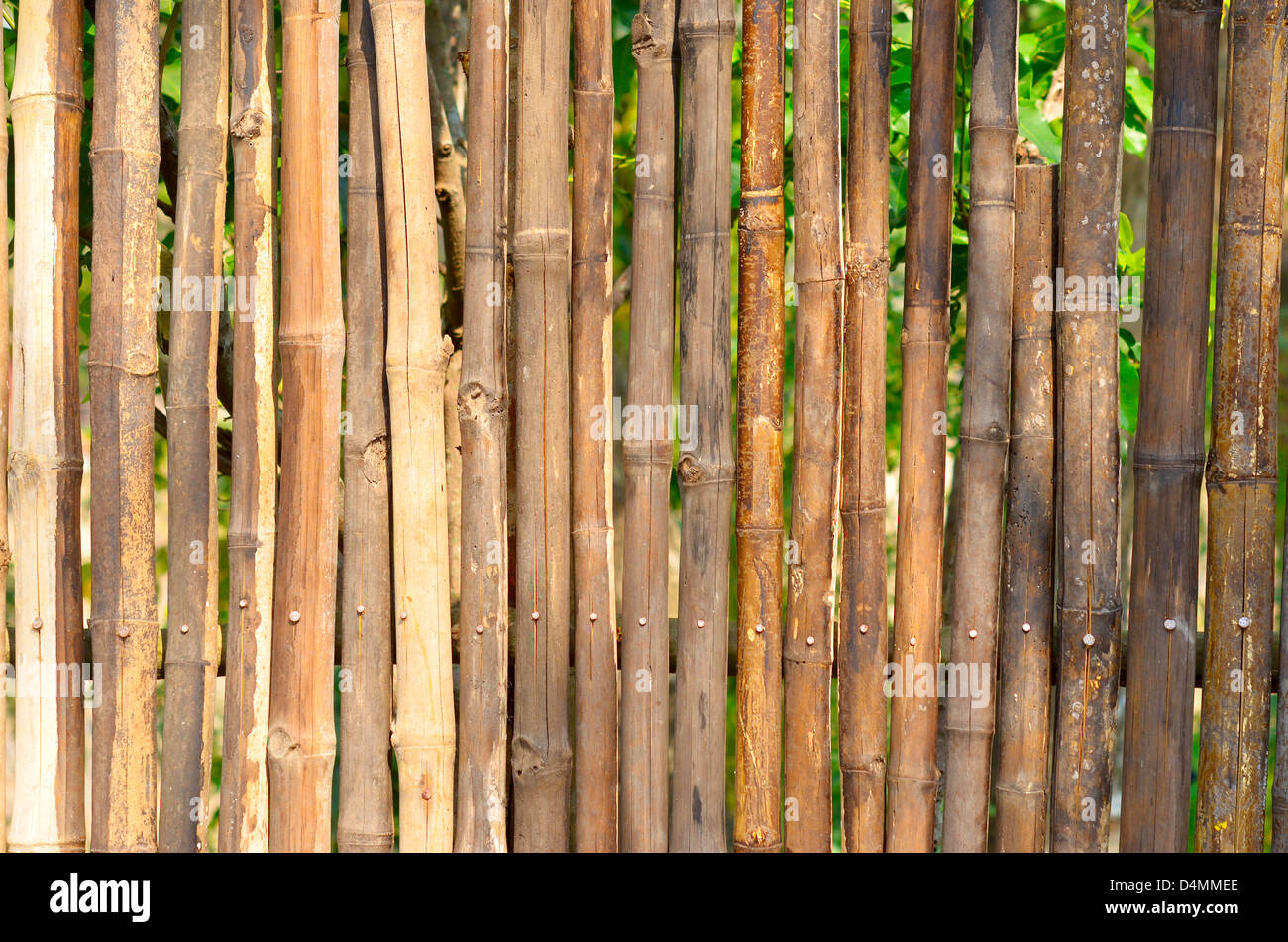 bamboo fence background Stock Photo - Alamy