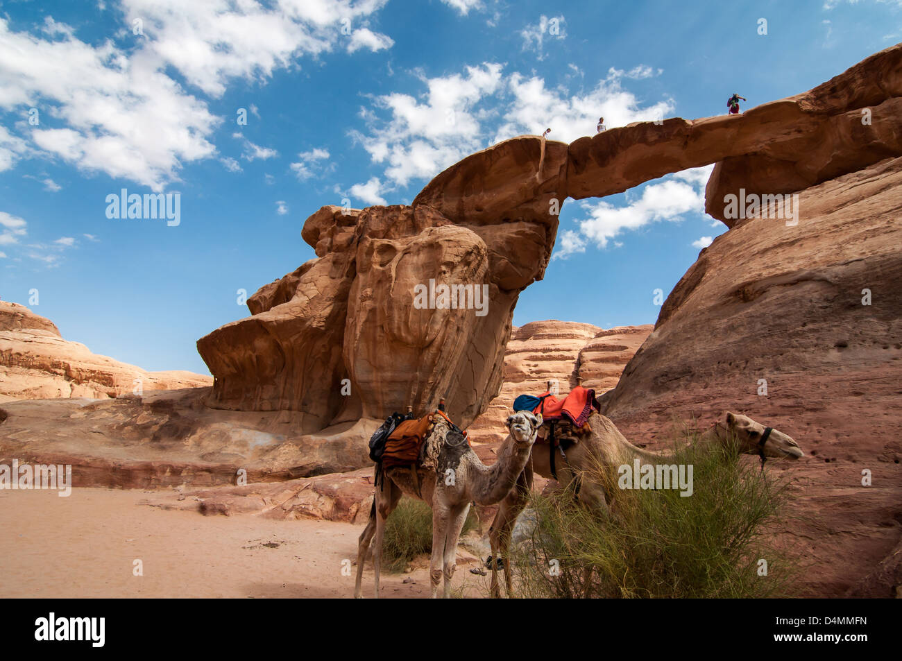 Wadi rum um fruth hi-res stock photography and images - Alamy