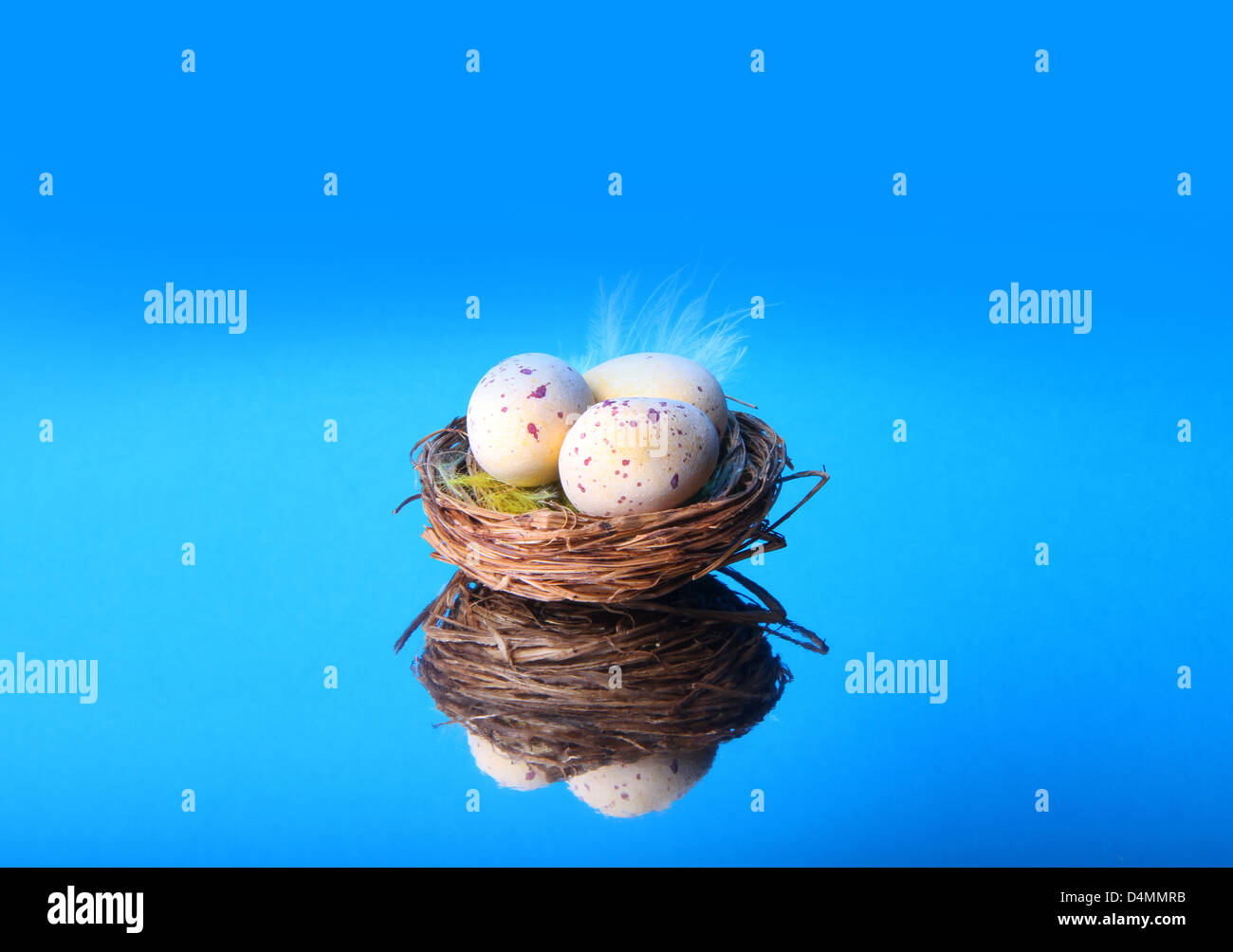 Small blue eggs in nest hi-res stock photography and images - Alamy