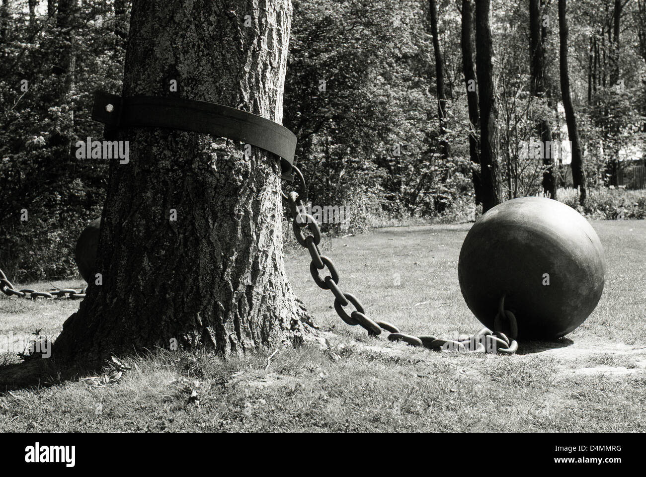 Tree hugger activist hi-res stock photography and images - Alamy