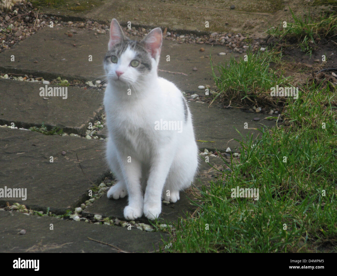 Please may i hi-res stock photography and images - Alamy