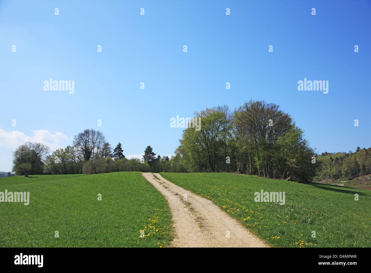 Switzerland, Canton Solothurn, Hochwald Stock Photo - Alamy