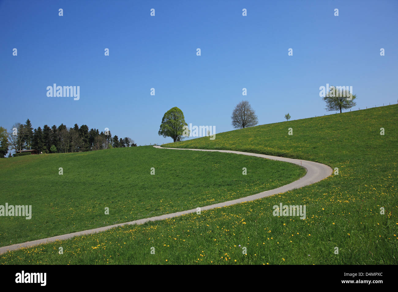 Switzerland, Canton Lucerne, Grosswangen Stock Photo - Alamy