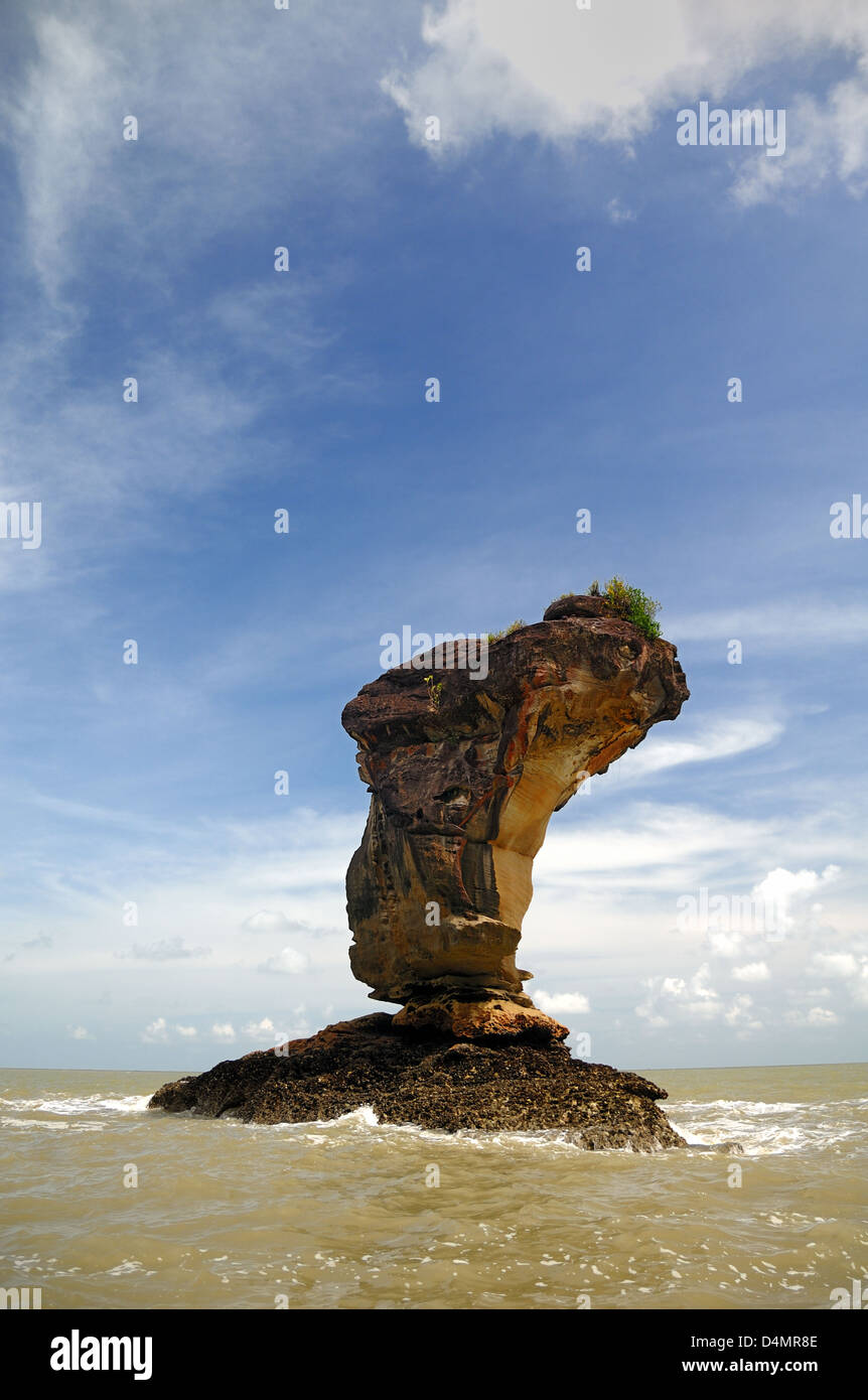 Giant Sea Stack or Balanced Rock at Bako National Park Sarawak Borneo ...