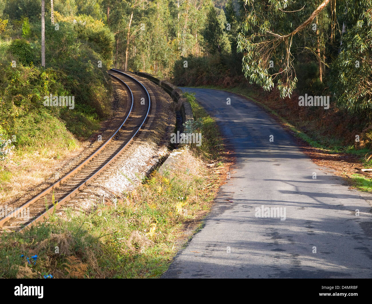 road and railway in the nature Stock Photo - Alamy