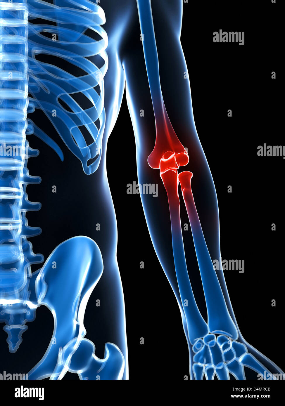 Arm hand elbow hi-res stock photography and images - Alamy