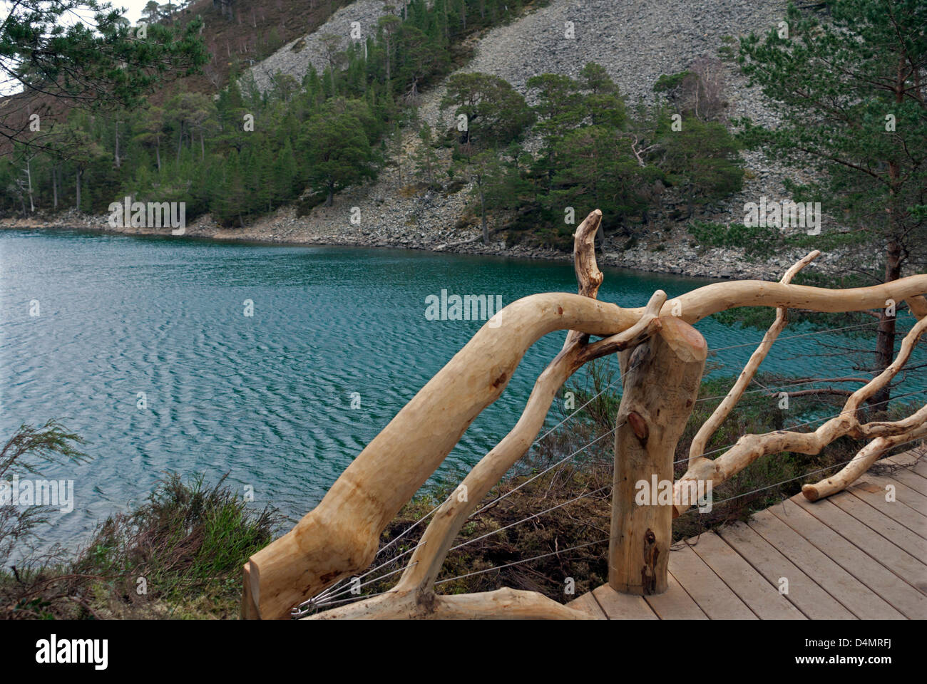Lochan Uaine, the Green Loch, in Glenmore Forest ,in the Cairngorms ...