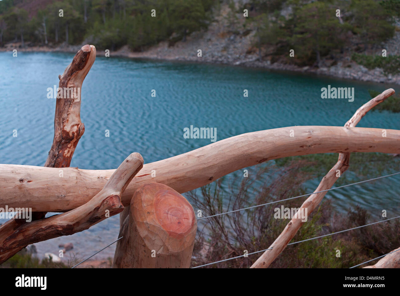 Lochan Uaine, the Green Loch, in Glenmore Forest ,in the Cairngorms ...