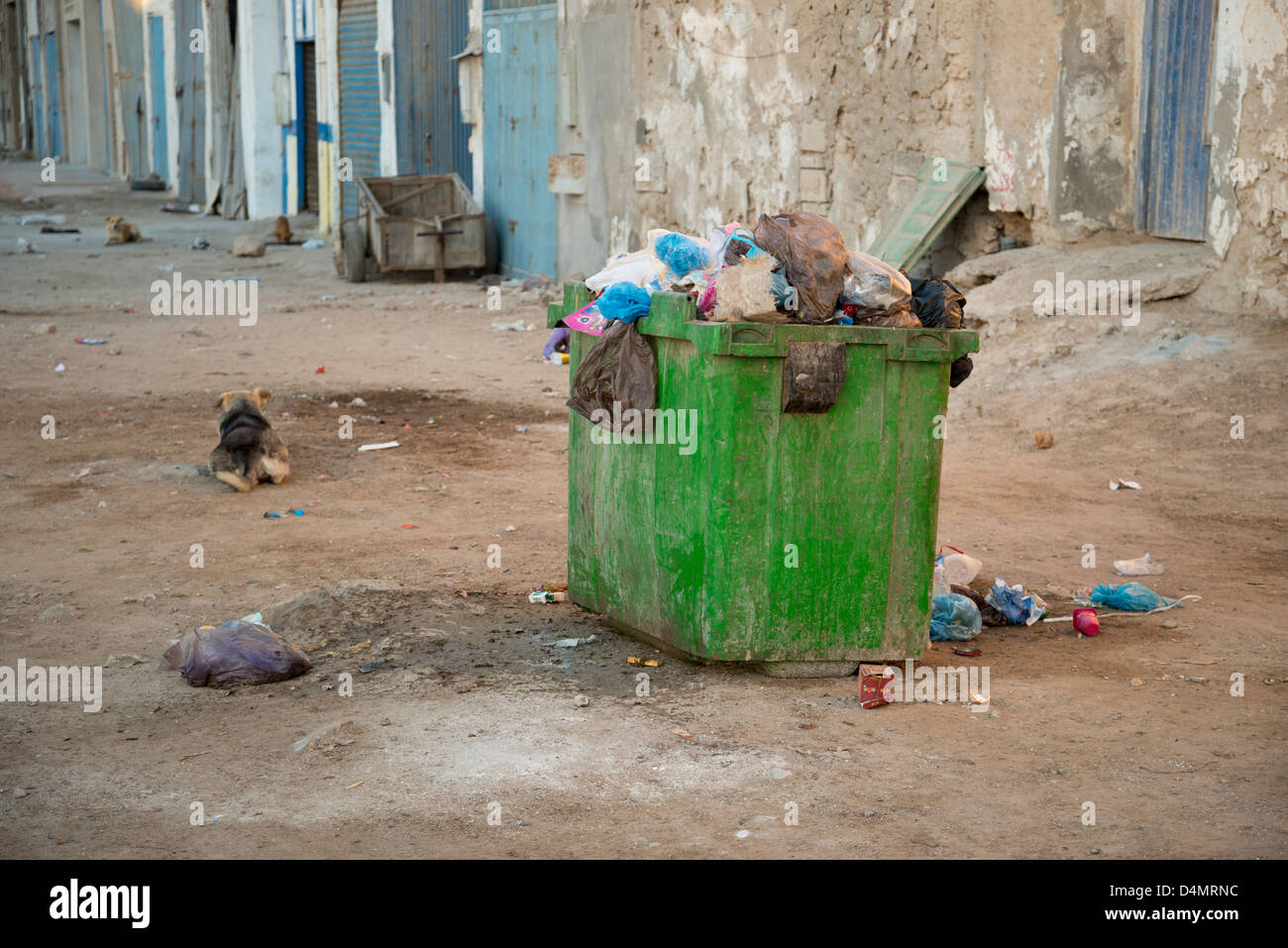 Dog in rubbish hi-res stock photography and images - Alamy
