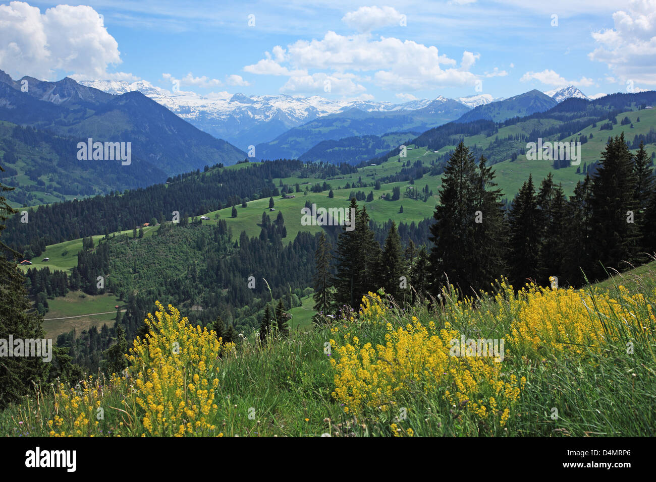 Switzerland simmental valley hi-res stock photography and images - Alamy