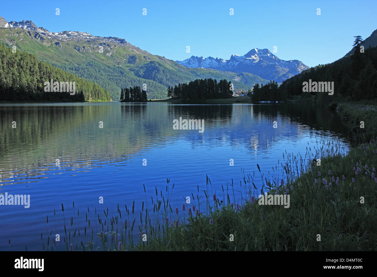 Switzerland, Canton Graubunden, Engadin, Champfèr Lake Stock Photo - Alamy