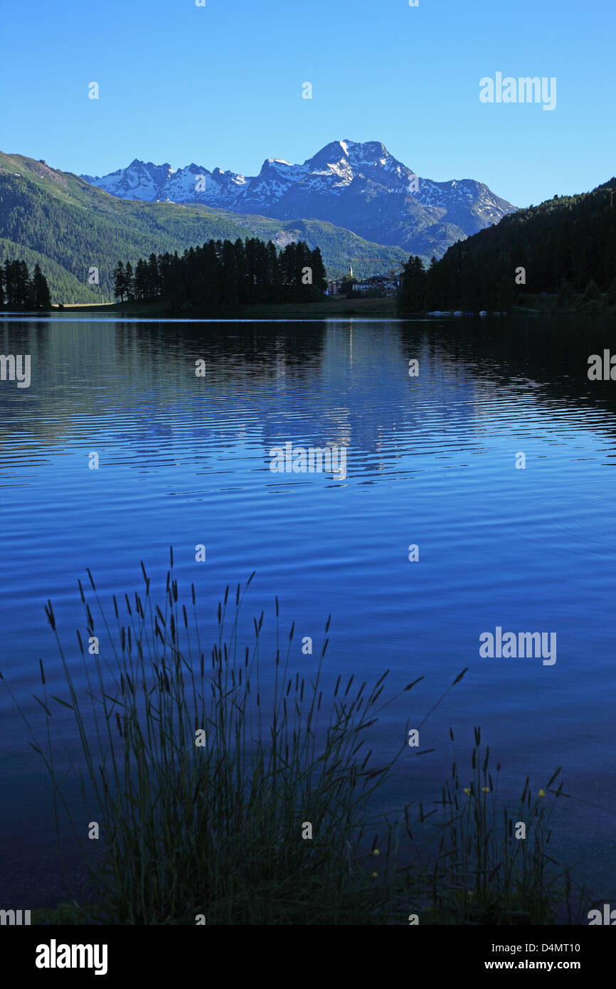 Switzerland, Canton Graubunden, Engadin, Champfèr Lake Stock Photo - Alamy