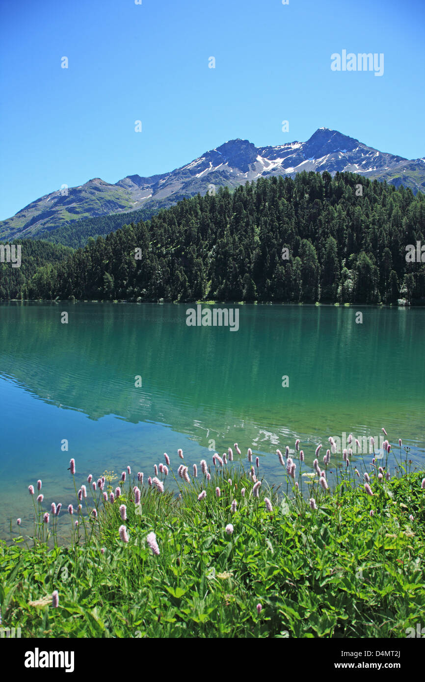 Switzerland, Canton Graubunden, Engadin, Champfèr Lake Stock Photo - Alamy