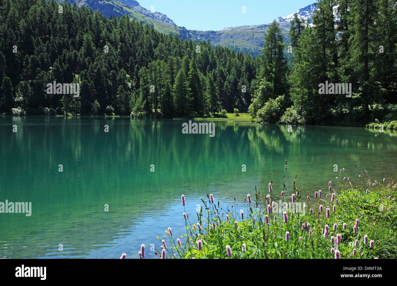 Switzerland, Canton Graubunden, Engadin, Champfèr Lake Stock Photo - Alamy