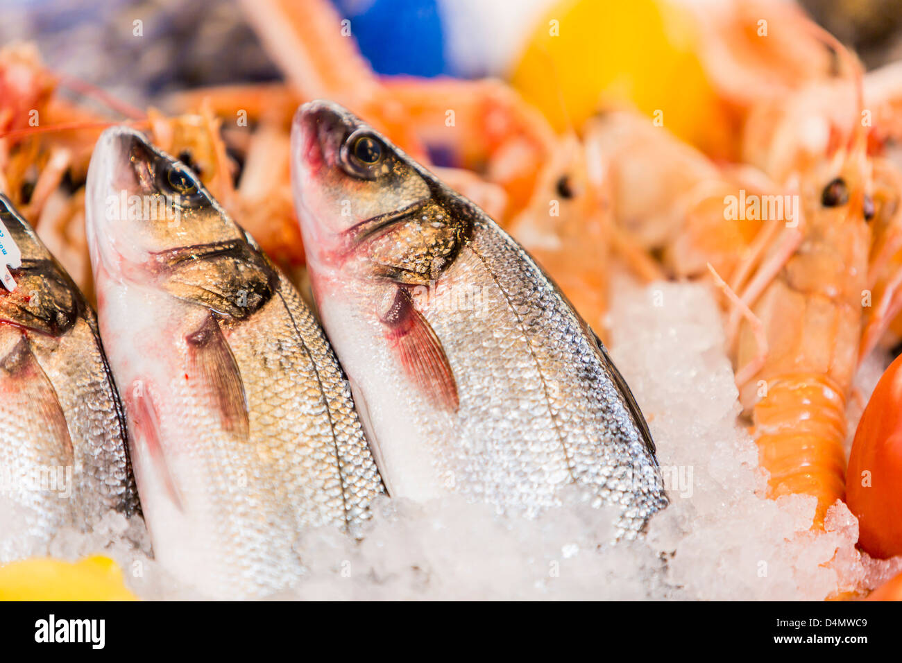 Fish on ice Stock Photo - Alamy