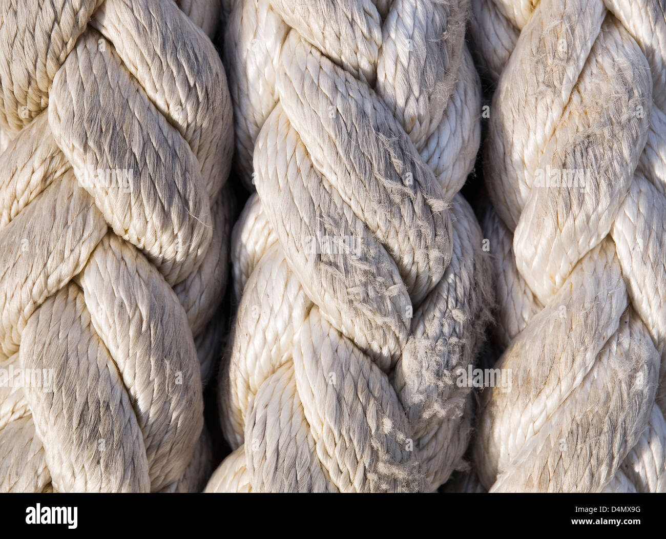 Horizontal composition hi-res stock photography and images - Alamy