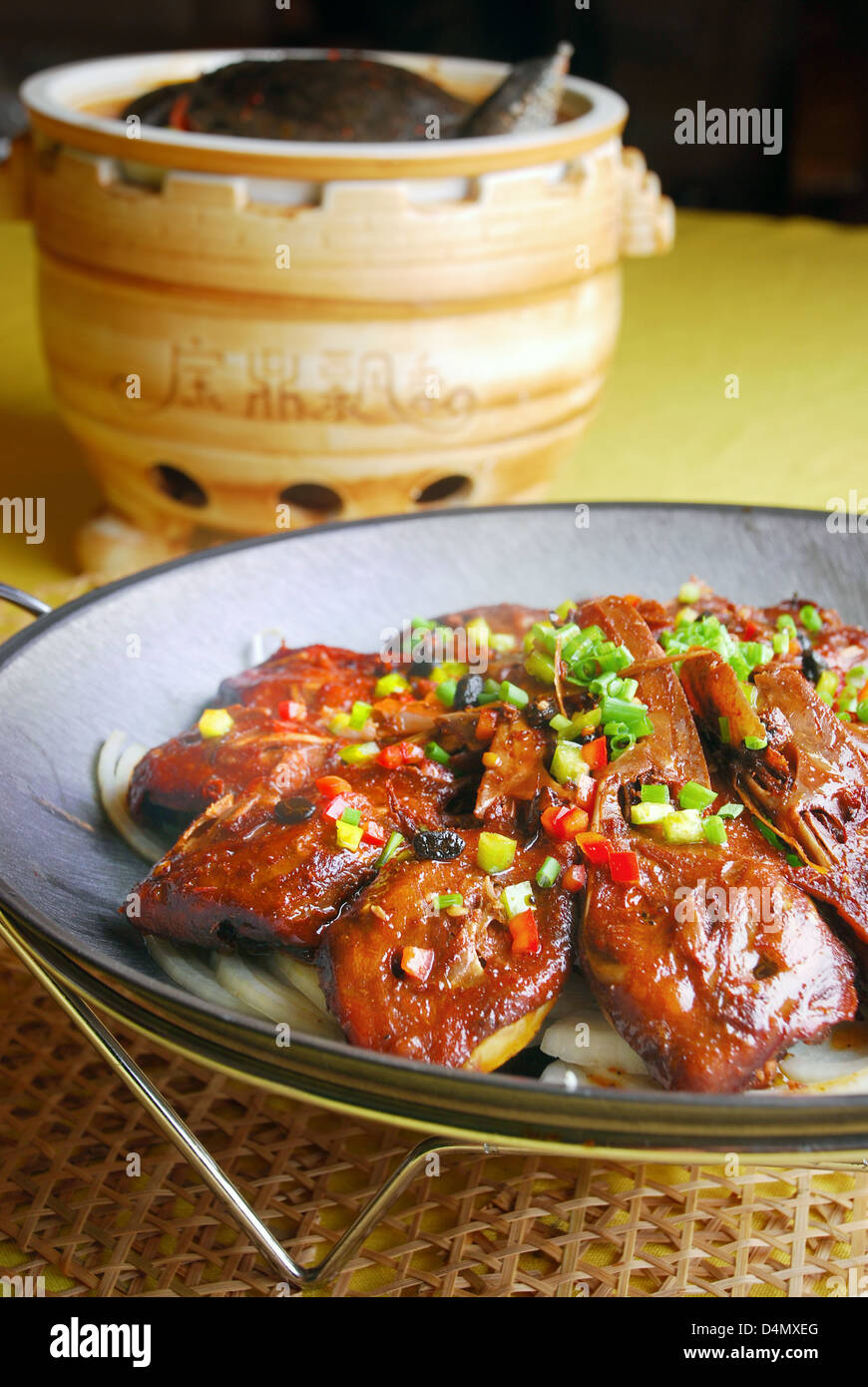 Soft shelled turtle hi-res stock photography and images - Alamy