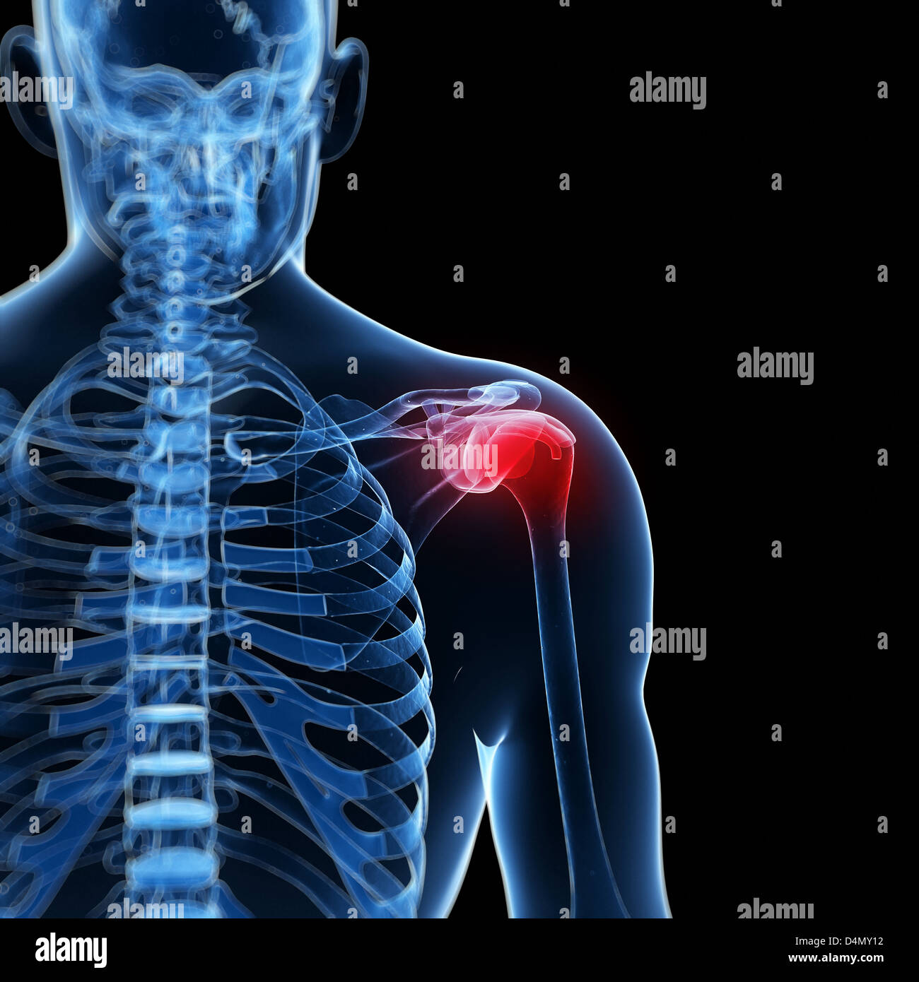 Human joint highlighted x ray hi-res stock photography and images - Alamy