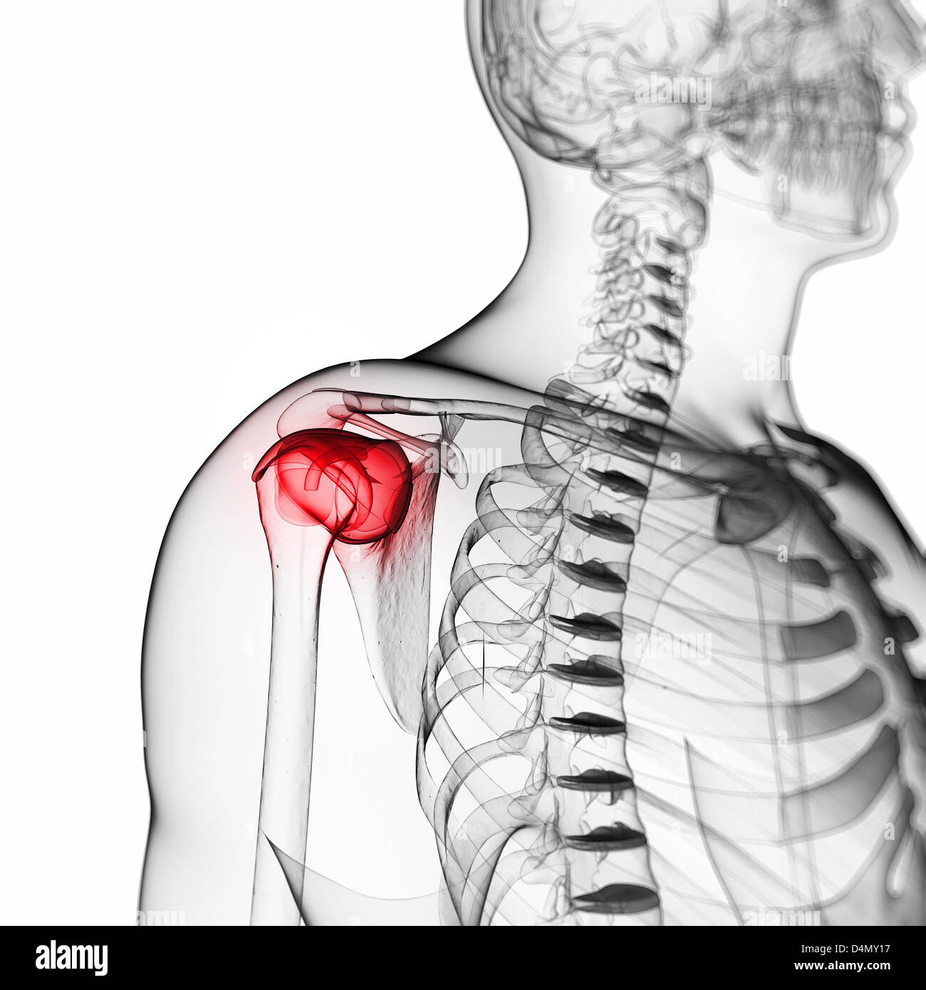 Human joint highlighted x ray hi-res stock photography and images - Alamy