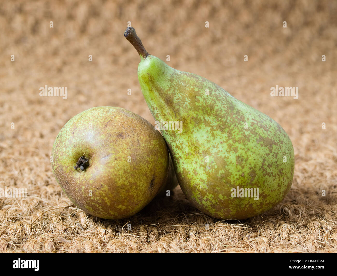 Two pears; a delicious meal Stock Photo - Alamy