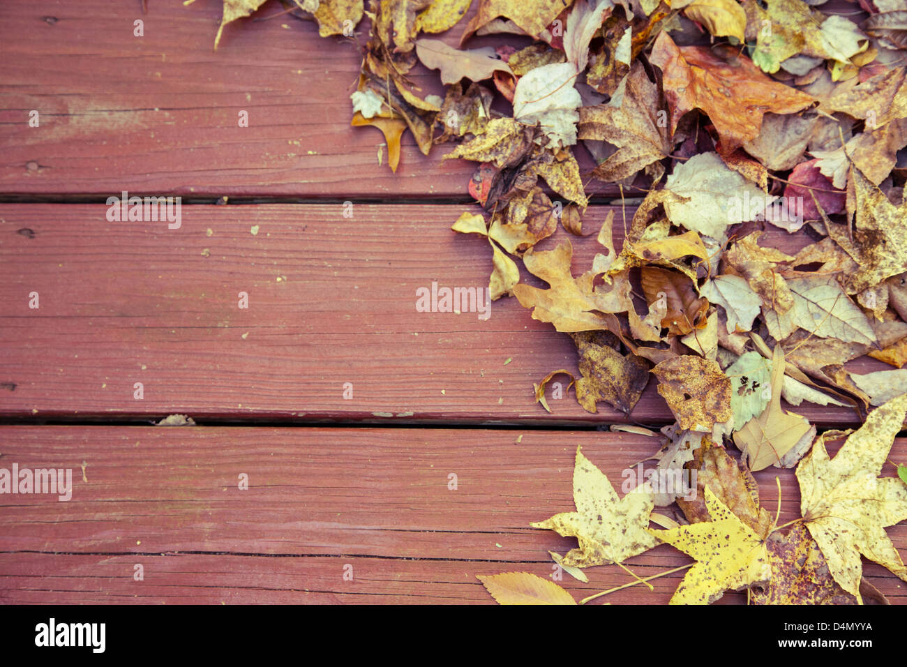 Fallen leaves of various colors as they lay on a red wood deck Stock ...