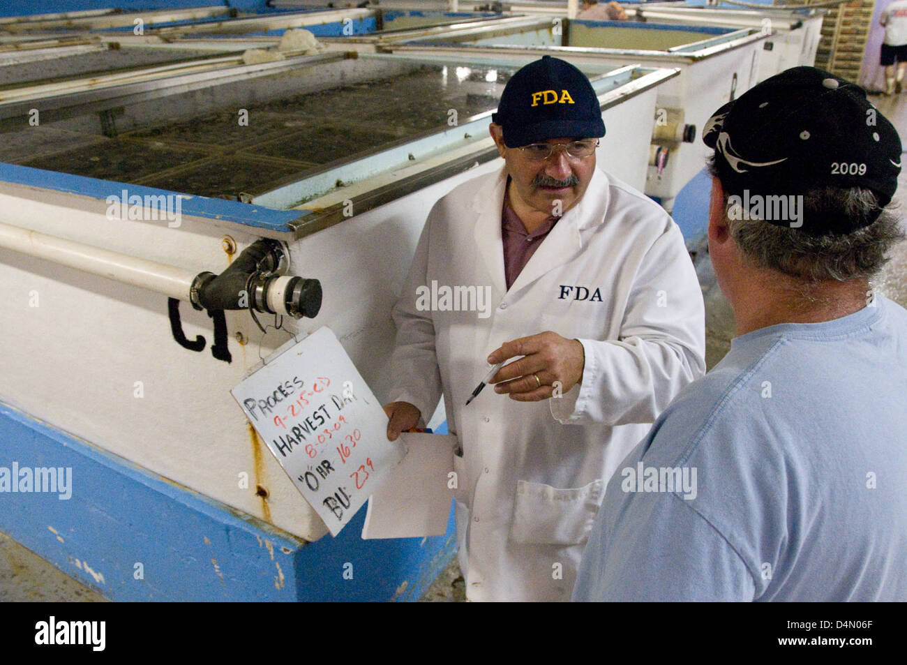 Molluscan shellfish hi-res stock photography and images - Alamy