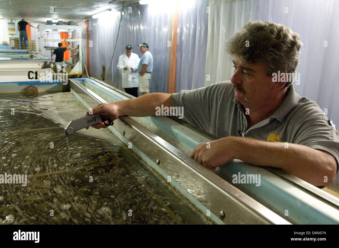 Safe Shellfish (4649 Stock Photo - Alamy