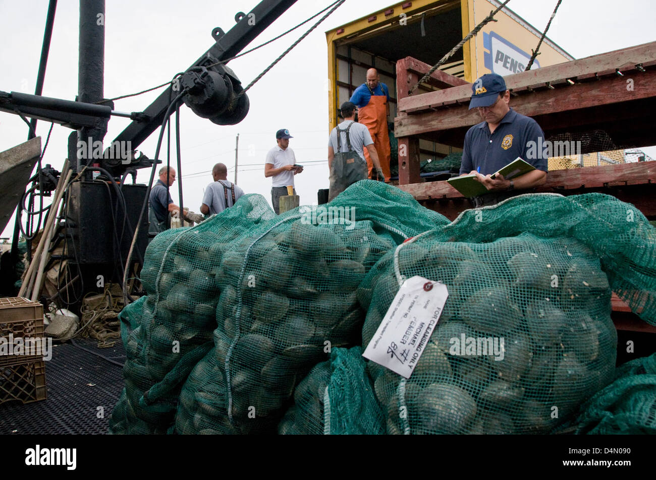 Molluscanshellfish hi-res stock photography and images - Alamy