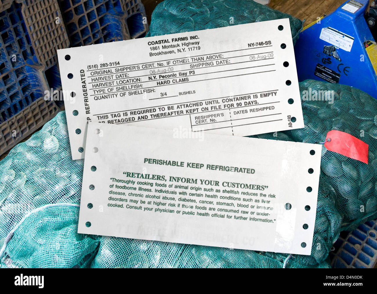 Molluscanshellfish hi-res stock photography and images - Alamy