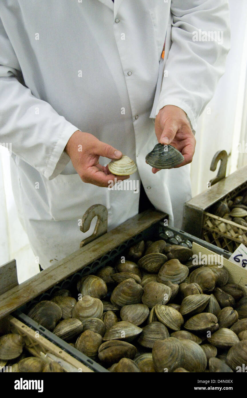 In August 2009, the U.S. Food and Drug Administration collaborated with ...