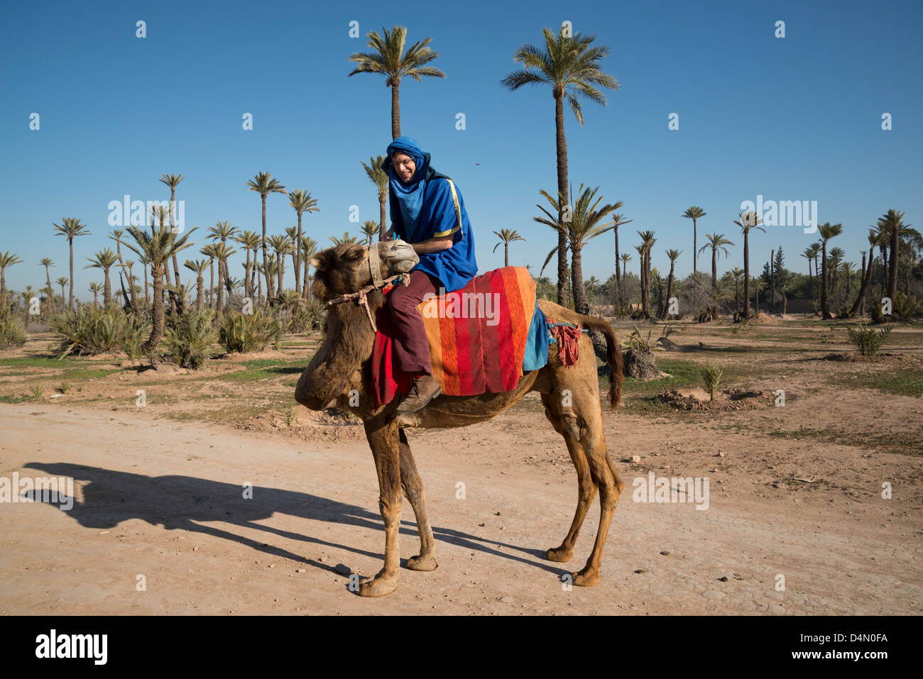 Western tourist in a Bedouin cloak on a camel Stock Photo - Alamy