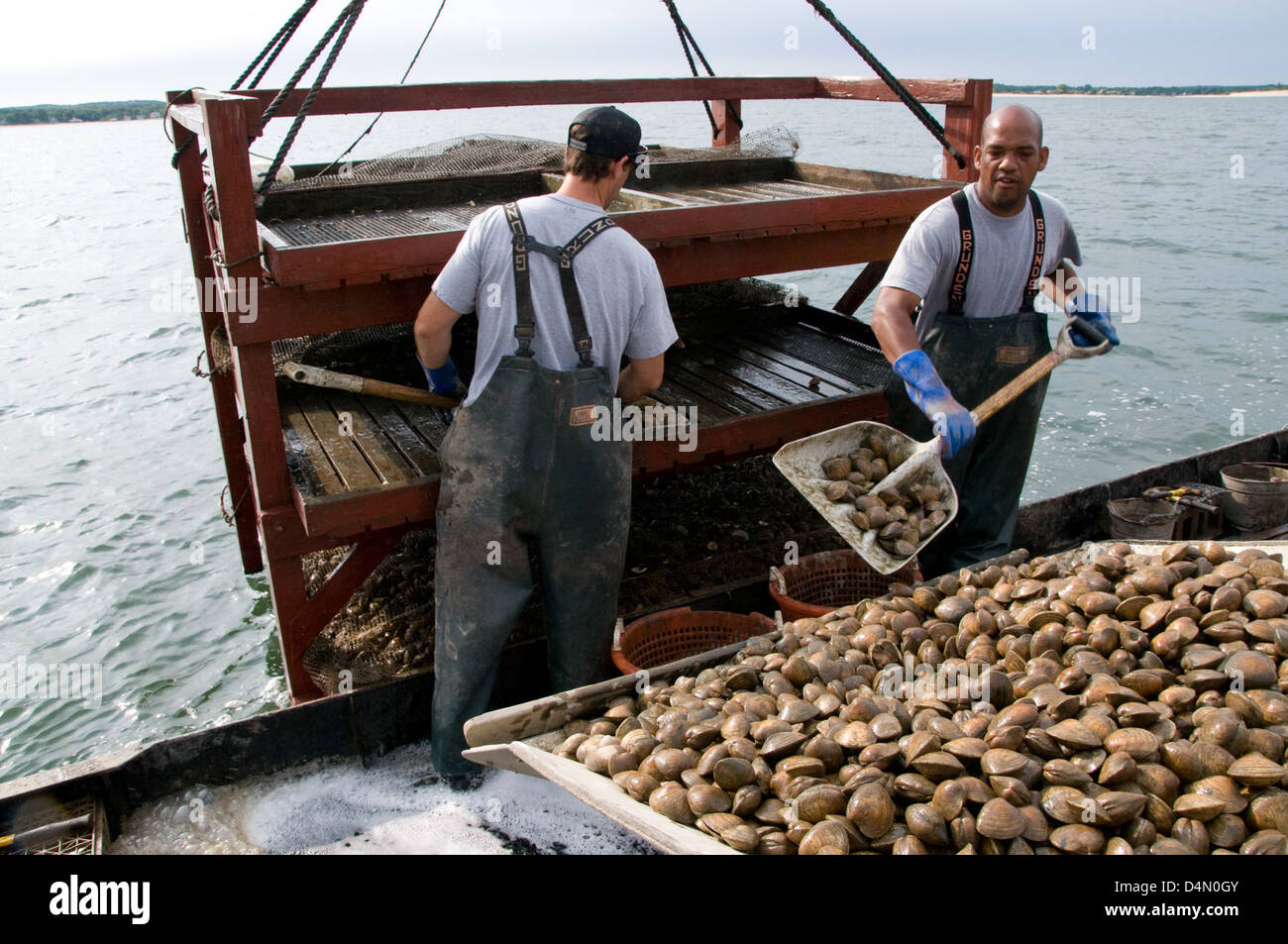 The FDA collaborates with the National Shellfish Sanitation Program ...