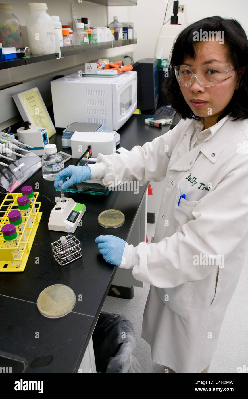 Testing food samples hi-res stock photography and images - Alamy