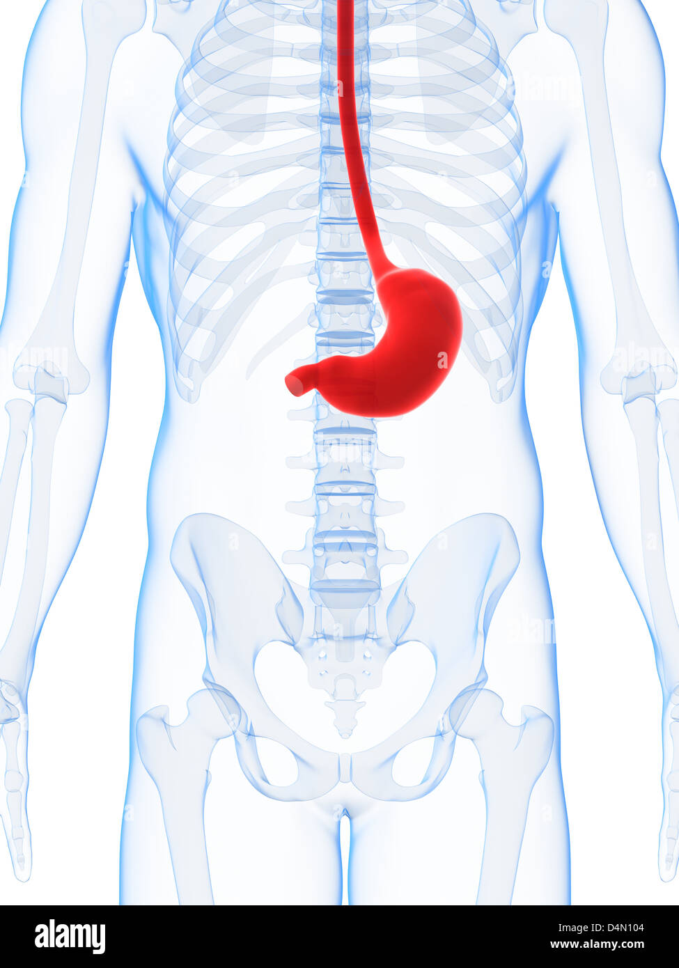 Stomache problems hi-res stock photography and images - Alamy