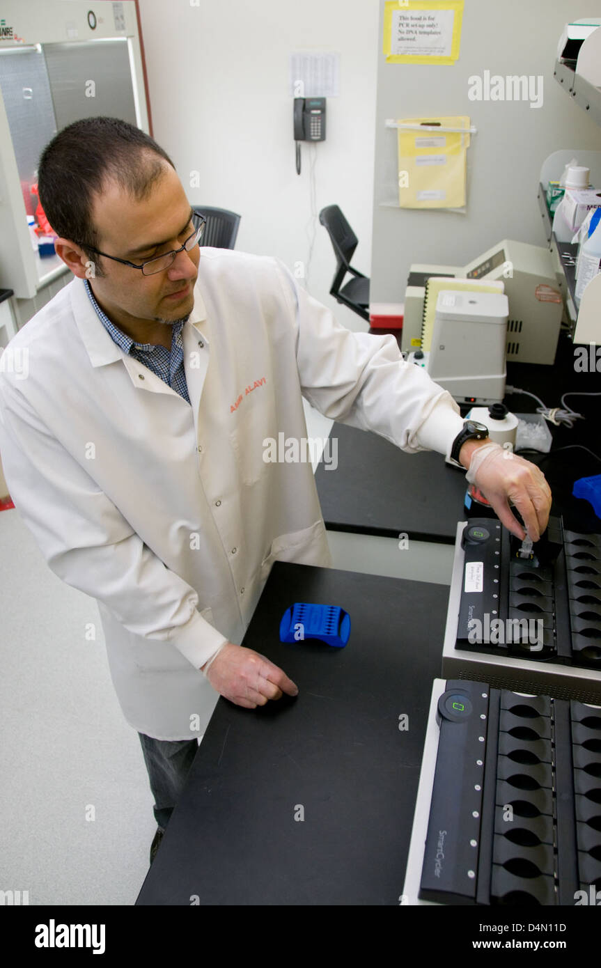 Real time pcr cycler hi-res stock photography and images - Alamy