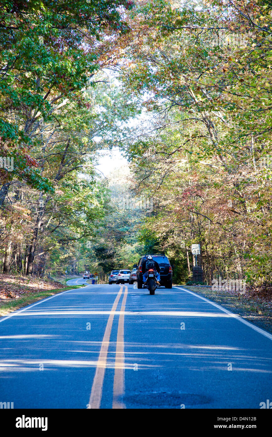Cars through forest hi-res stock photography and images - Alamy
