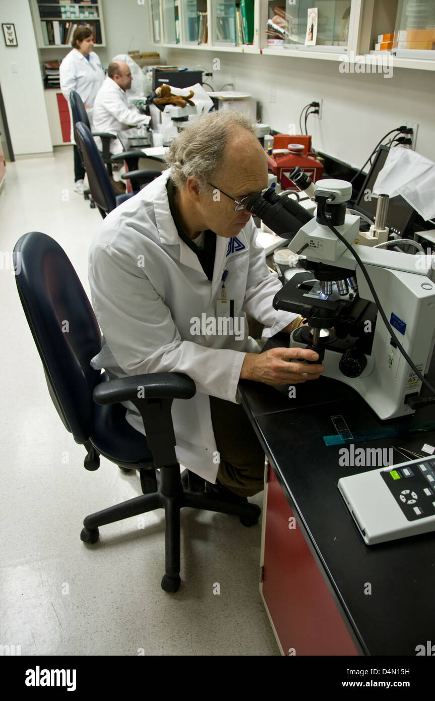 Microanalytical hi-res stock photography and images - Alamy