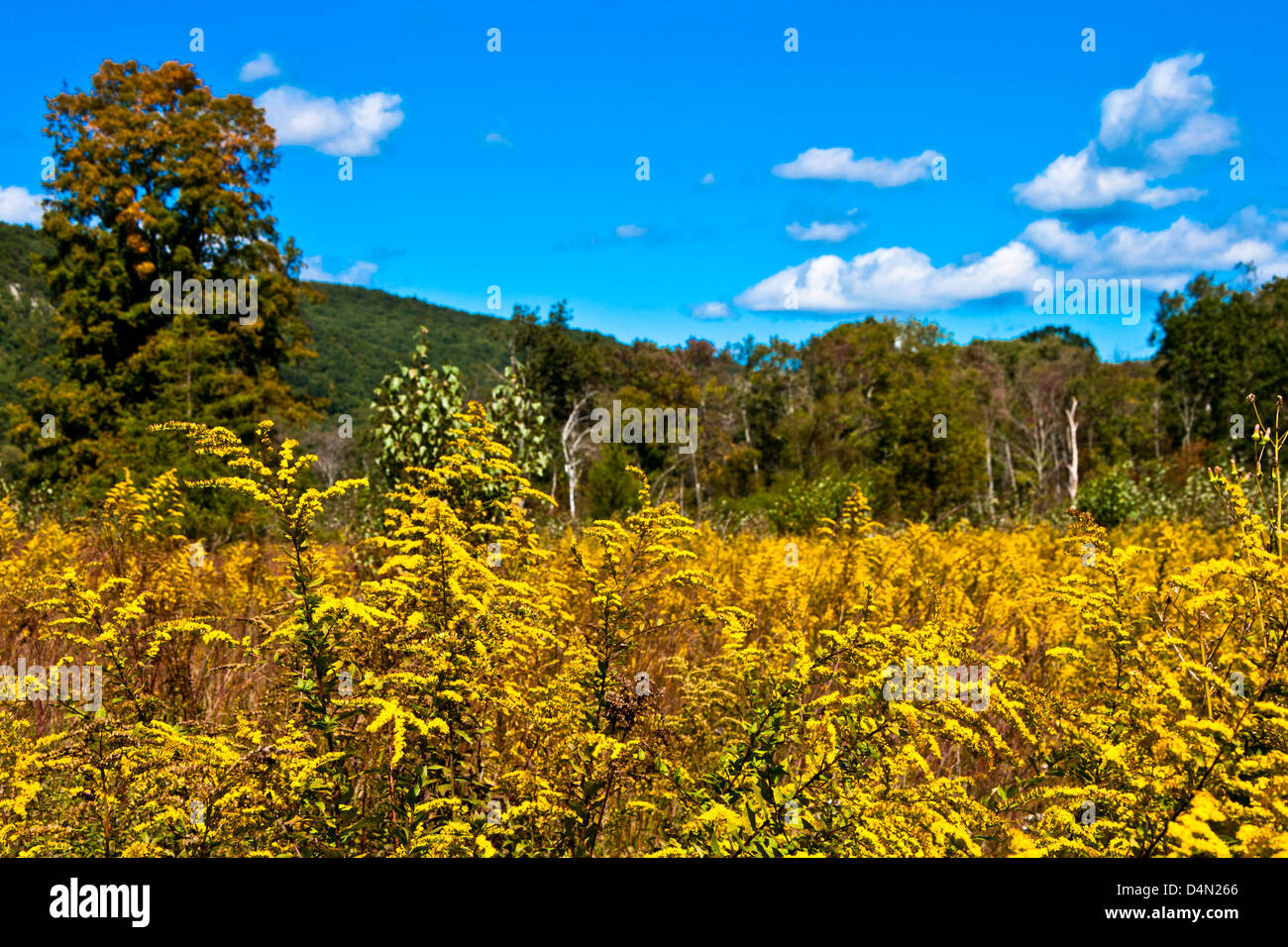 Farm habitat hi-res stock photography and images - Alamy