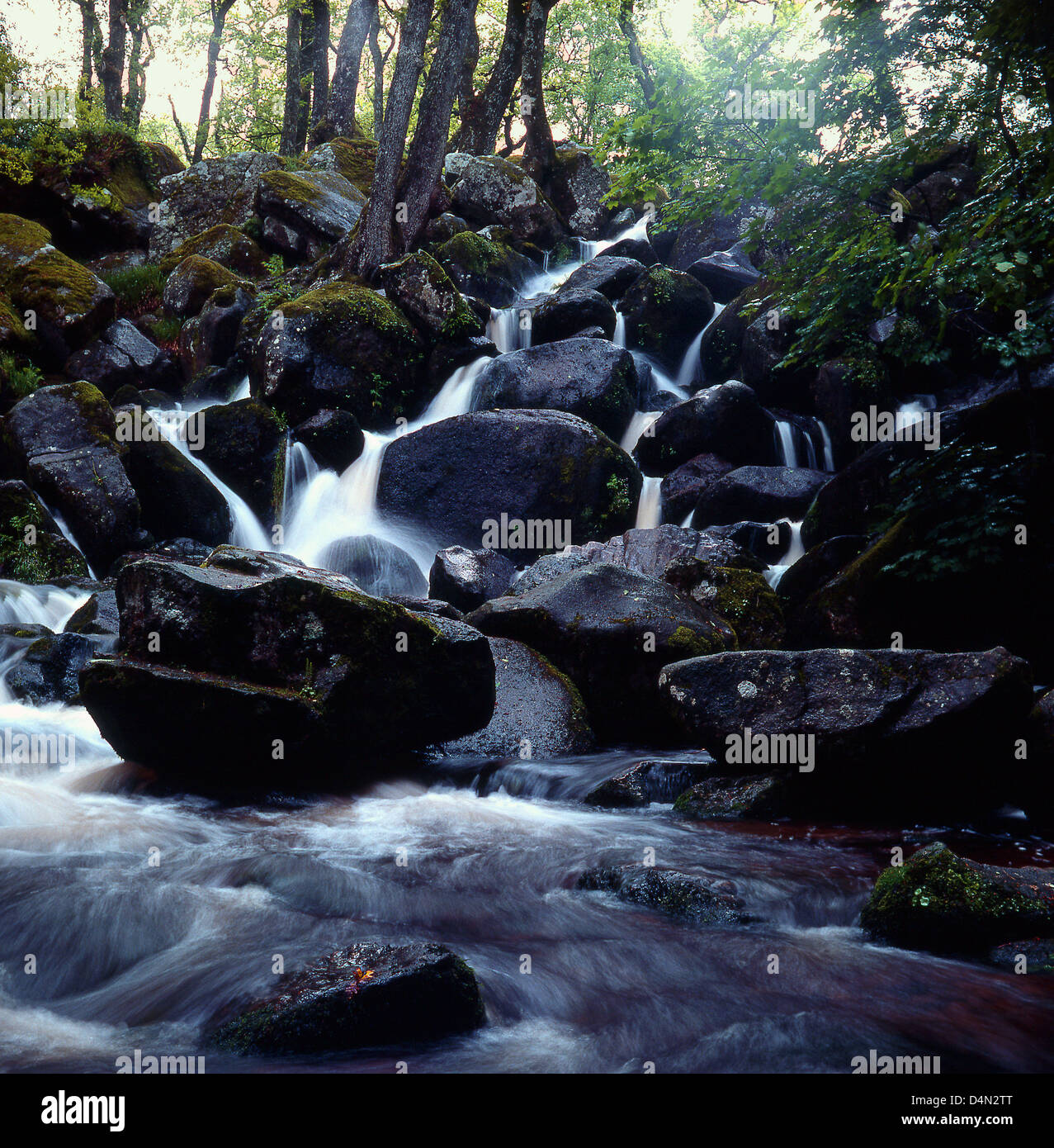 Becky Falls in Devon Stock Photo - Alamy