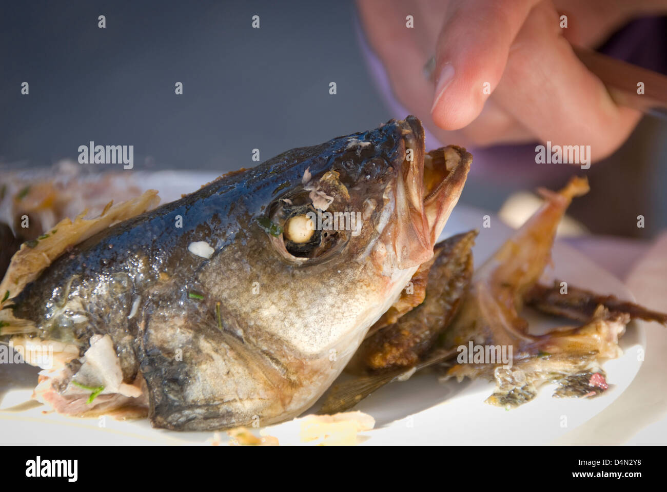 Finger fish hi-res stock photography and images - Alamy