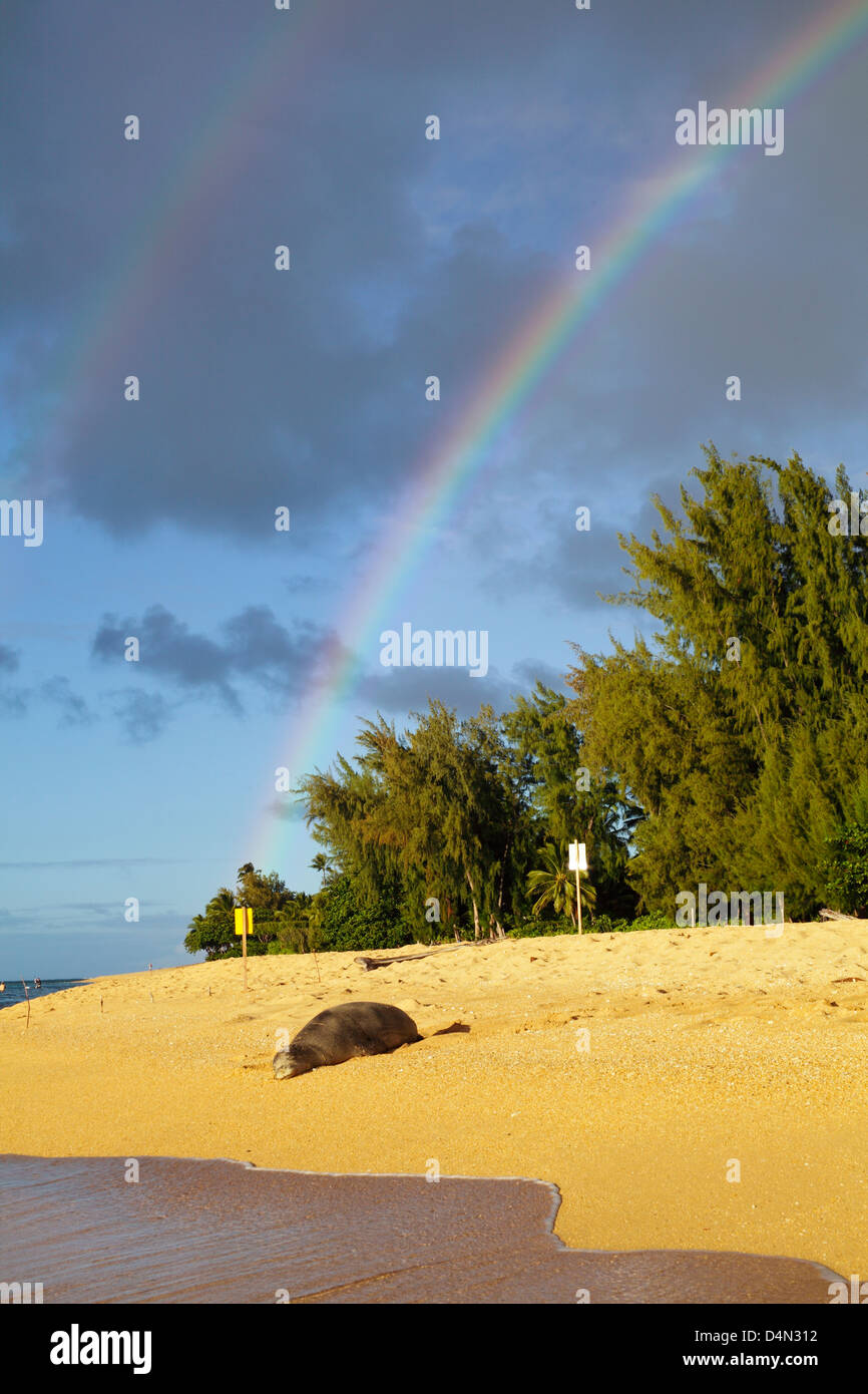 Rainbows At The Beach