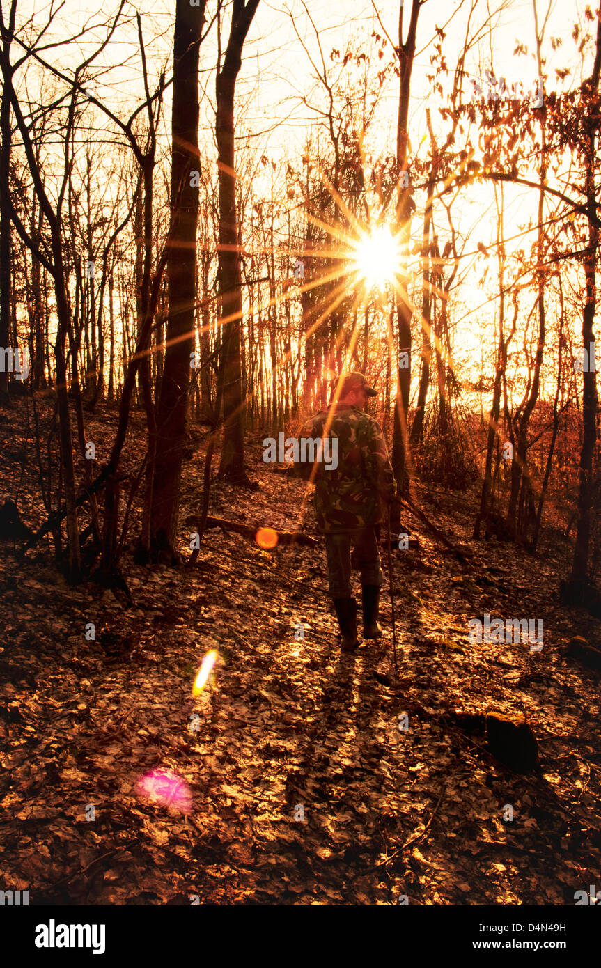 Man in a forest Stock Photo - Alamy