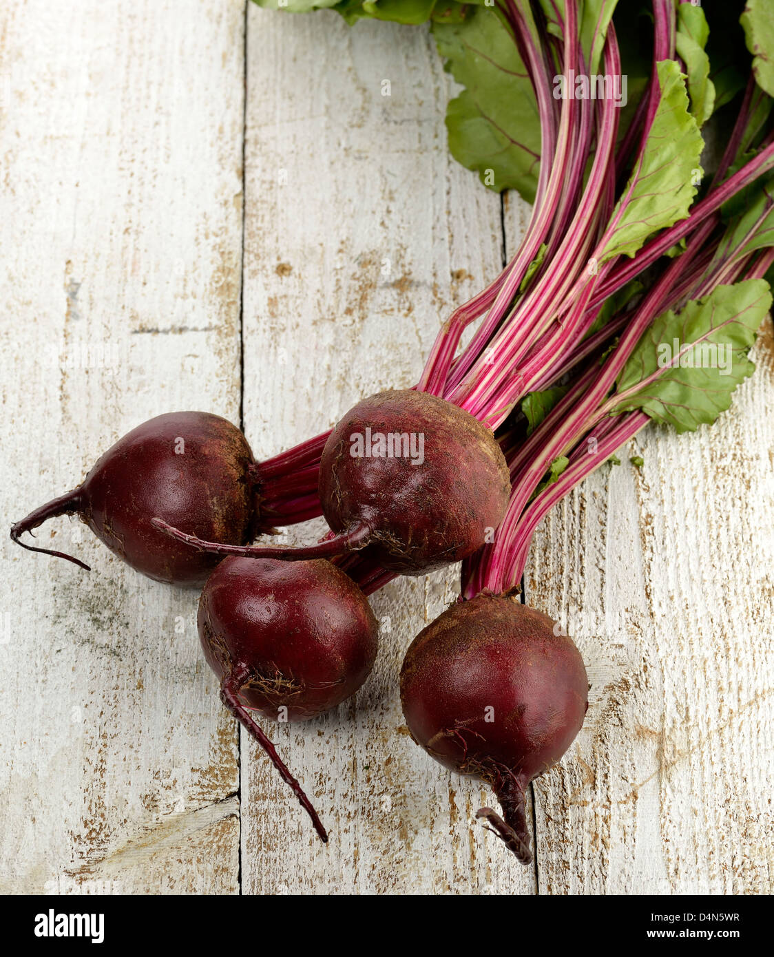 Beetroot plant hi-res stock photography and images - Alamy