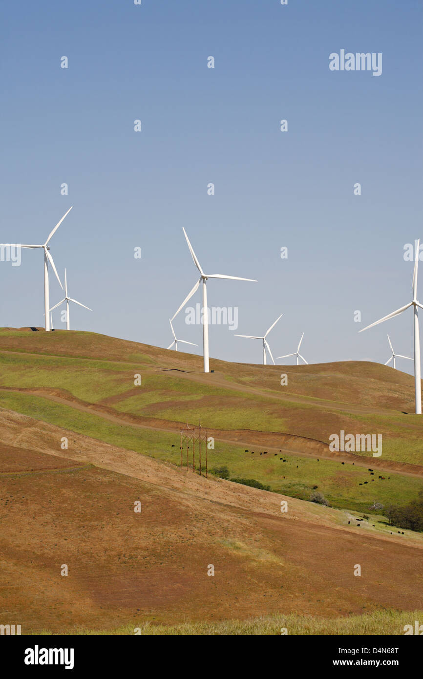 Wind turbines, Washington State, USA Stock Photo - Alamy
